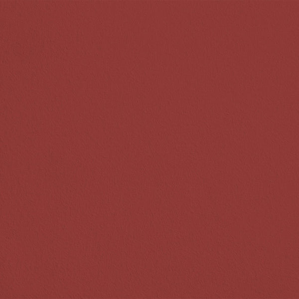 AP15 - Rouge Chinois – Ressource Paints