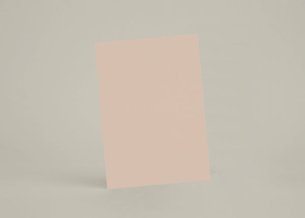 HEJU11 - Pin Douglas – Ressource Paints